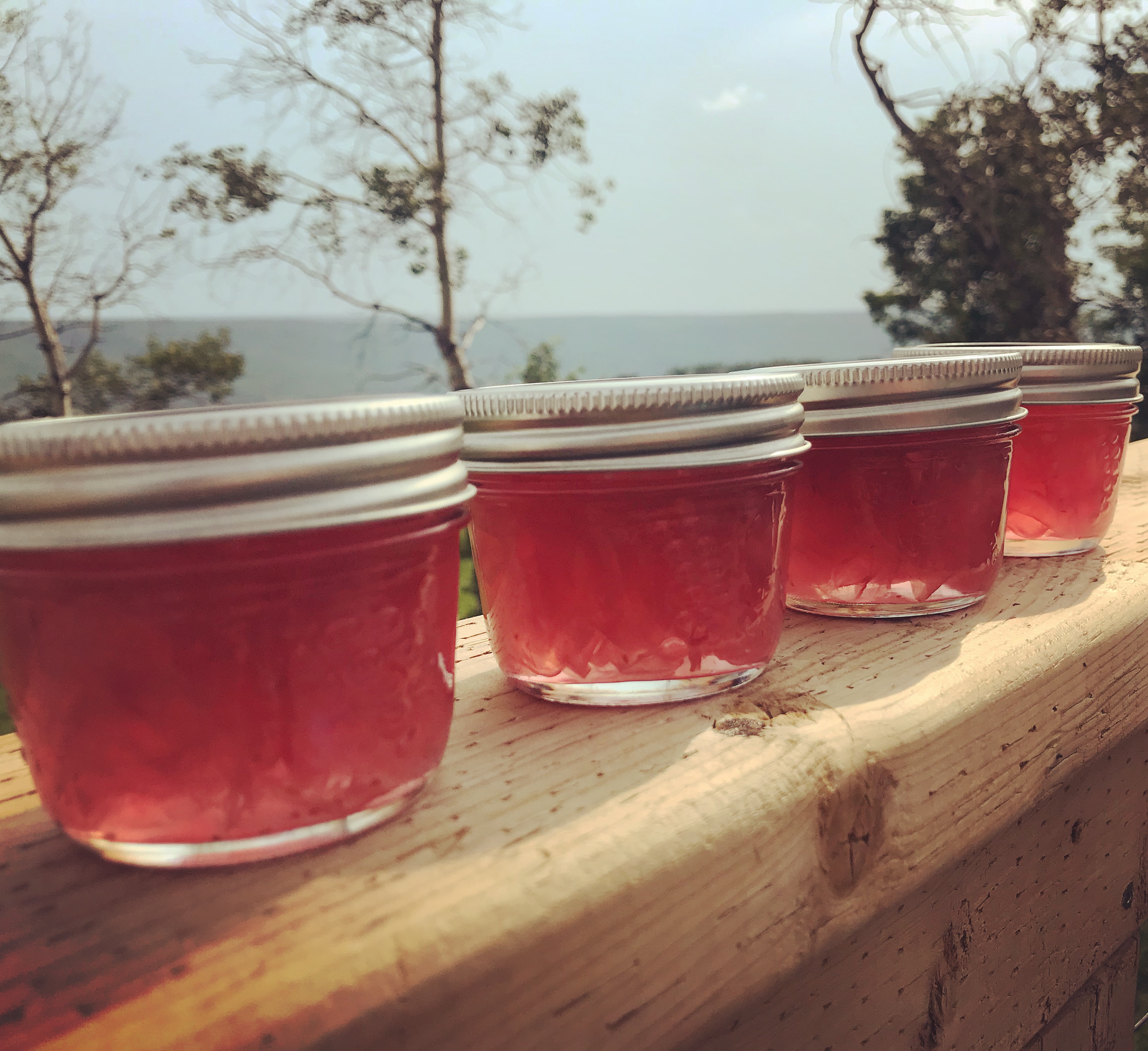 Wild Rose Jam – Canadian Acres
